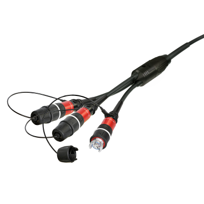 FIBERFOX SPLIT - Neutrik